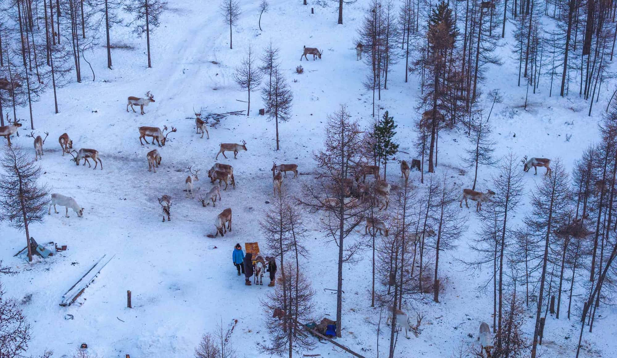 Tsaatan Mongolia: Life Among Nomadic Reindeer Herders