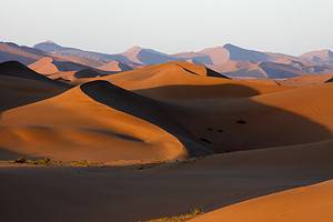 Exploring the Gobi Desert: Climate, Culture, and Wildlife