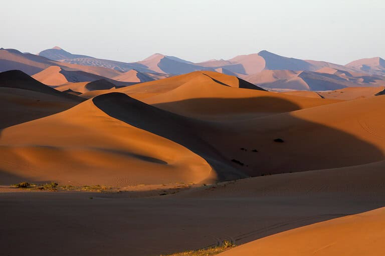 15 Fascinating Facts About Gobi Desert You Need to Know